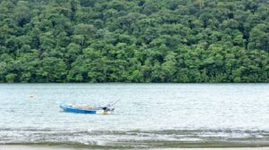 Bahía Solano: guía de turismo completa, playas y ballenas